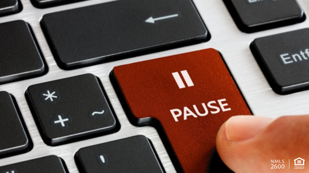 A Pause In The Action - Carrington Wholesale